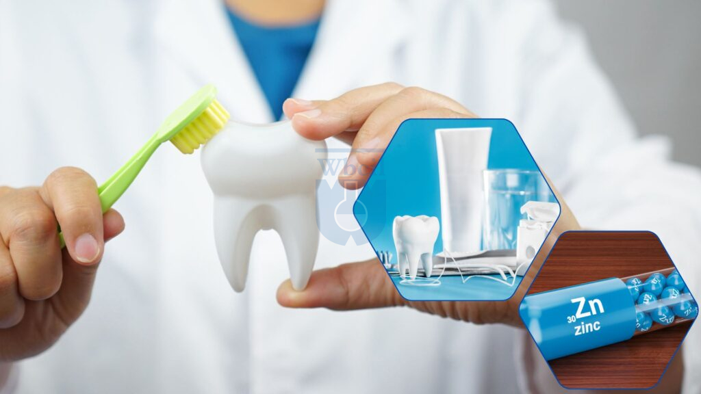 Oral Care Breakthrough: How Zinc Powers Fresh Breath and Gums