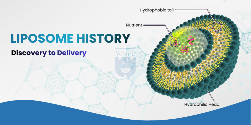 Liposome History | How One Idea Changed Drug Delivery